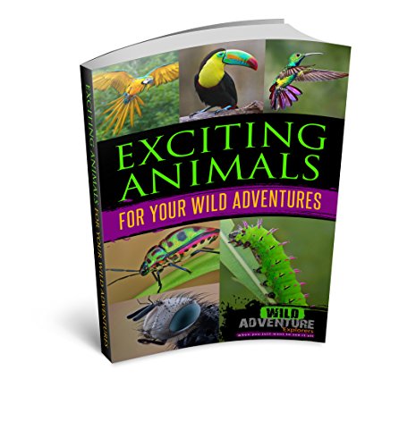 Amazon | ANIMAL - WILDLIFE BOOK - BUGS, BUTTERFLIES, MOTHS, BEETLES and ...