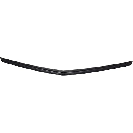 Amazon.com: Genuine GM 92218015 Grille, Lower, Front, Black : Automotive