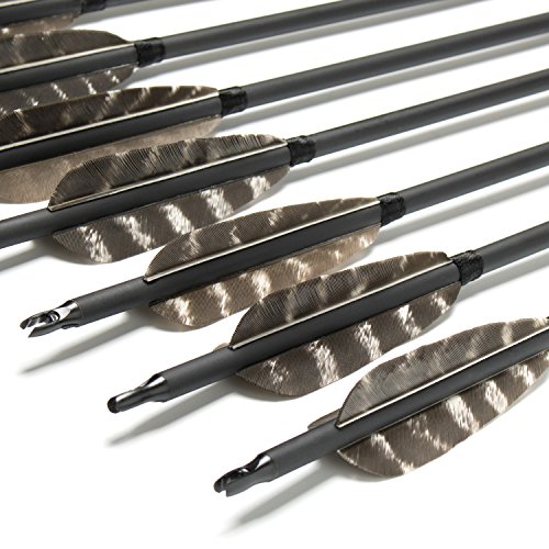 ARCHERY SHARLY Lot de 12 flèches de chasse en carbone de 78,7 cm pour ...