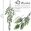Amazon.com: Beebel Artificial Flower Hops Vine Garland Plant Fake ...