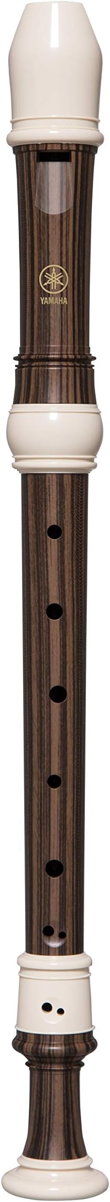 Amazon.com: Gewa Thumb Rest for Alto Recorder