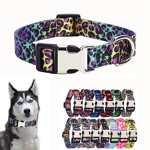 Pretty Dog Collars – The 15 best products compared - Wild Explained