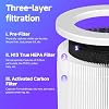 Amazon.com: Breabetter 2-Pack T10 Replacement Filter Compatible with ...