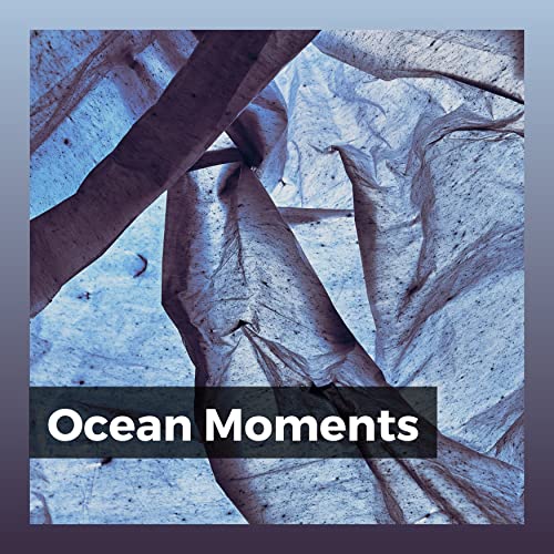 Amazon.com: Ocean Moments : Streaming Waves, Ocean Sound Machine ...
