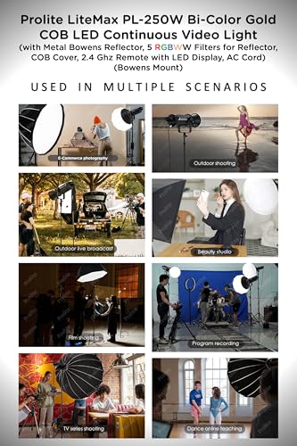 Prolite LiteMax Gold-250W Bi-Color COB LED Continuous Video Light ...