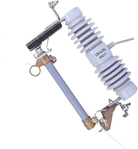 Amazon.com: CDMUIIAI Fuse Porcelain Fuse Cut Out 11kv 12kv 15kv 33kv ...