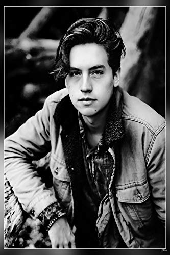 PosterWorld Cole Sprouse Poster Print 12 x 18 Inch (Multicolor) GI-7516 ...