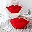 Amazon.com: AELS 3D Large Lips Throw Pillows Smooth Soft Velvet ...