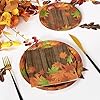 Amazon.com: Homlouue 200 Pcs Fall Paper Plates and Napkins, Autumn ...