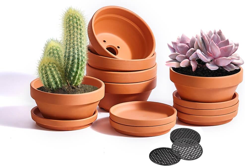 Amazon.com: Small Shallow Terracotta Pot for Succulent - 6 Pcs Clay ...