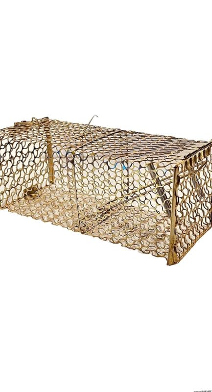 BHOLA Engineering Medium Size Rat Trap Cage, Rodent Control, Pinjra for ...