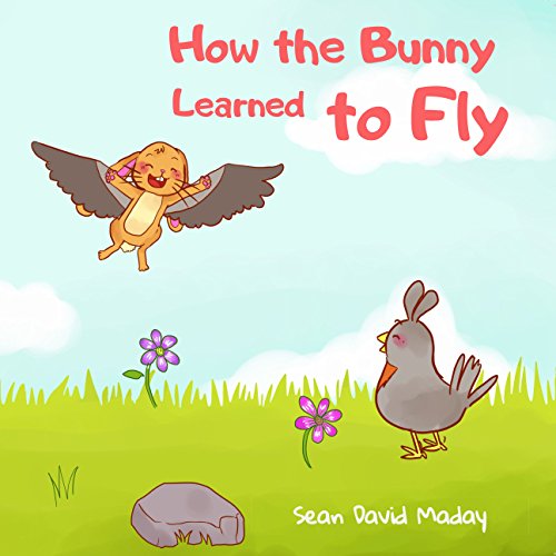 Amazon.com: How the Bunny Learned to Fly (Audible Audio Edition): Sean ...