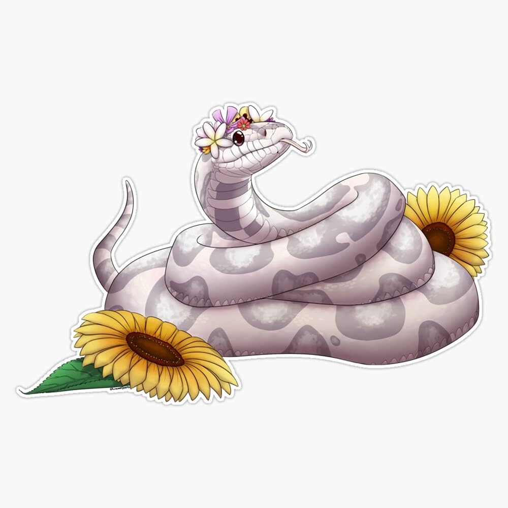 Amazon.com - Ball Python Heart Snake Decal -Indoor and Outdoor use ...