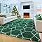 Amazon.com: ONASAR Area Rugs for Bedroom Living Room, Washable 4x6 ...