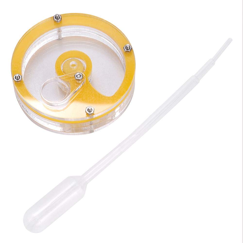 Buy Mini Ant Nest, DIY Transparent Ant Farm Ant Habitat Feeding Insect ...