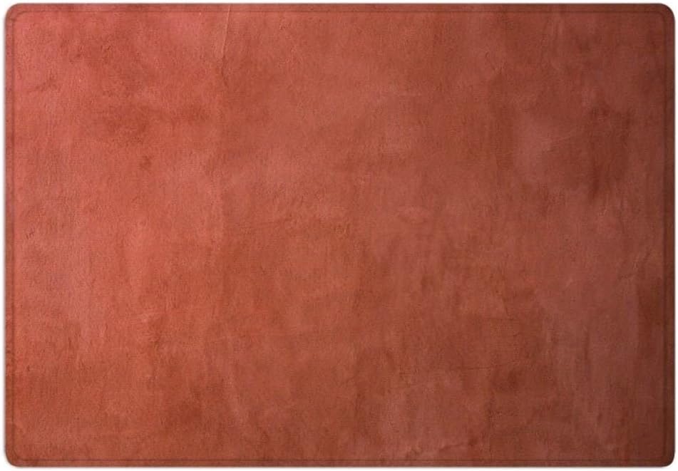 Amazon.com: Solid Terracotta Bath Mat, Solid Bath Rug, Grunge Bath ...