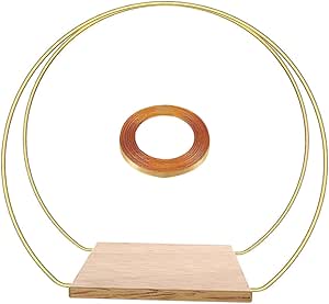 Amazon.com: PLAFOPE Metal Floral Hoop Centerpiece Versatile Floral Hoop ...