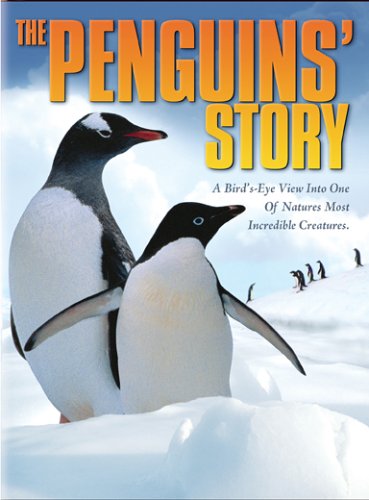 Amazon.com: The Penguins' Story : Penguins Story, French Filmmakers ...