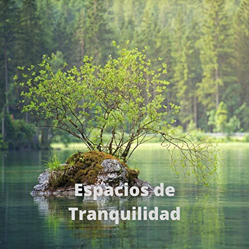 Amazon.com: Espacios de Tranquilidad : Shamito: Digital Music