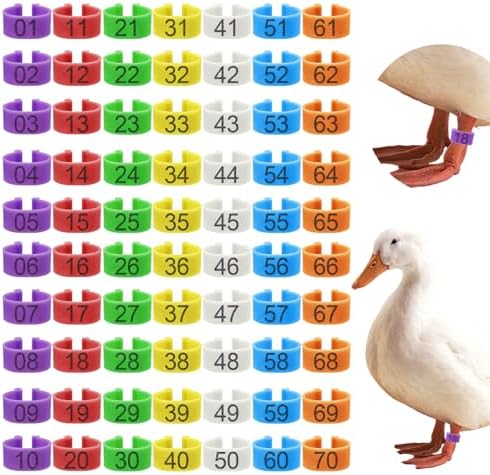 Amazon.com : Mutai 16mm Chicken Identification Band 50PCS 16mm 5Color ...