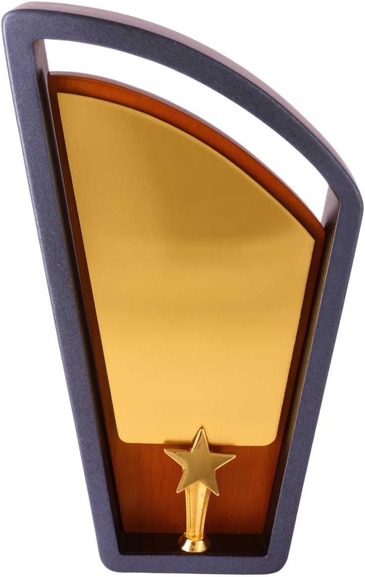 Amazon.com : Custom Star Trophy with Gold-Plated Finish - Personalized ...