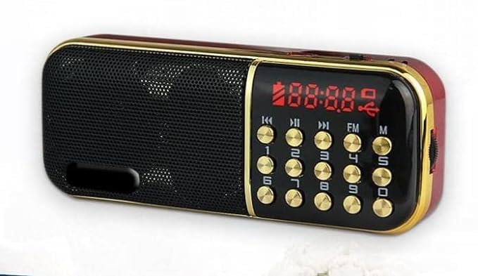 Portable Lightweight Gurbani Radio Music Player, Multimedia Player,FM ...