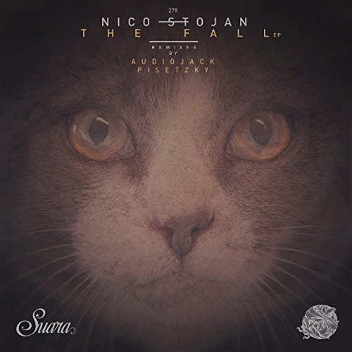 Play The Fall EP by Nico Stojan on Amazon Music