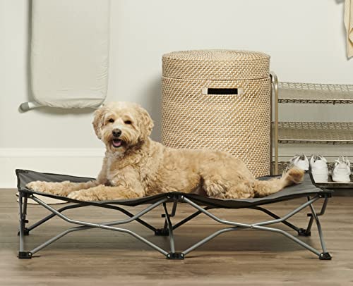 15 Best Travel Dog Bed Options for Your 2019 Trip