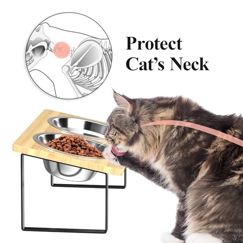 Elevated Cat Bowls with Stand – Tiltable, Raised Feeding Station for ...
