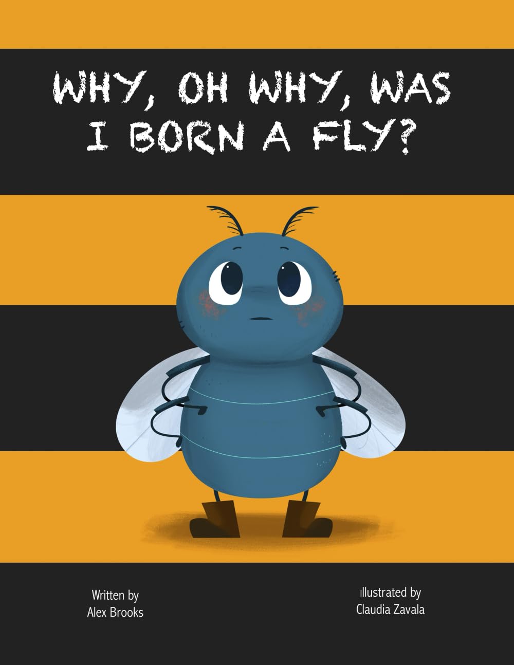 Why, oh why, was I born a fly? : Brooks, Alex, Zavala, Claudia: Amazon ...