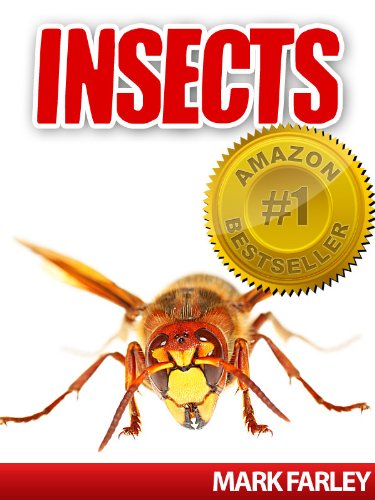 Insects! A Fascinating Children’s Book Looking into the World of ...