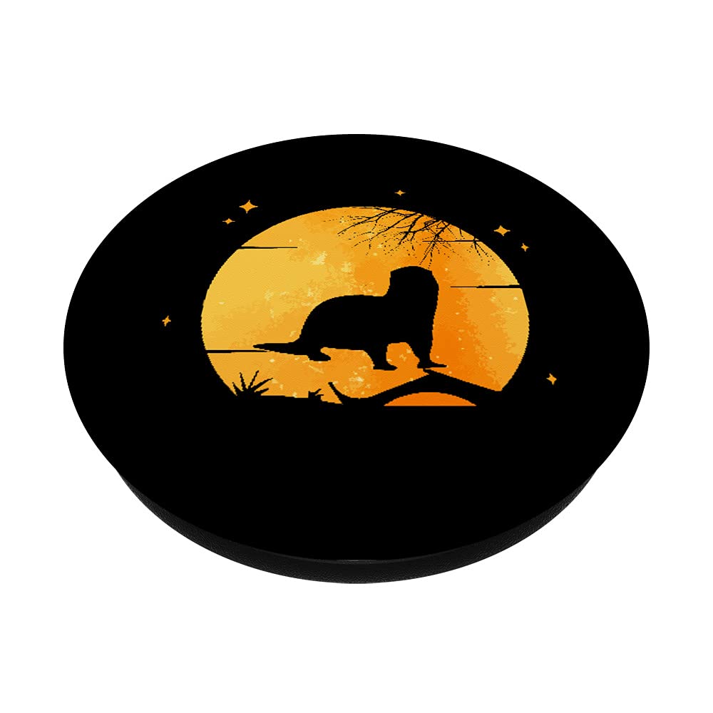 Leo native american zodiac 60 photos - Astrologytoyou.com