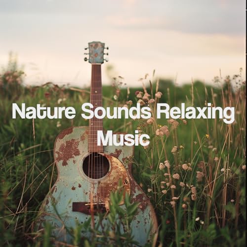 Bird Sounds In Nature With Music song by Nature Sounds Nature Music ...