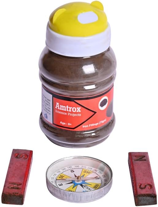 Buy AMTROX Iron Filing Powder (Iron Dust) for Labs & Science Experiment ...