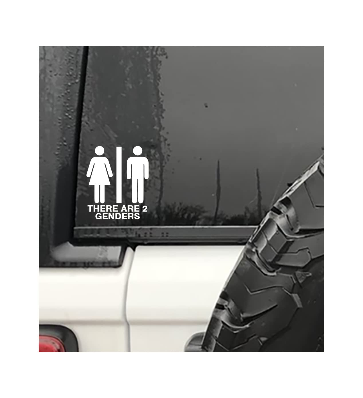 Truck Window Stickers For Guys