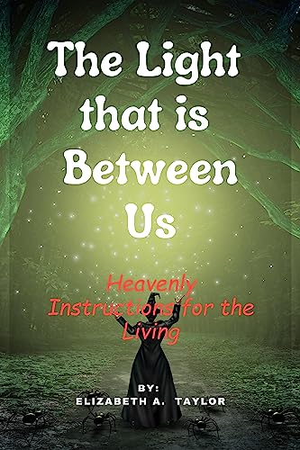The Light That Is Between Us: Heavenly Instructions for the Living ...