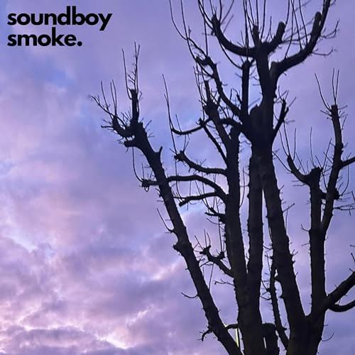 Amazon.co.jp: Smoke : Soundboy: Digital Music