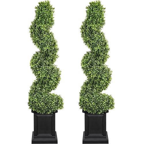 Best Porch Plants for 2024: Top Picks for a Lush Outdoor Space