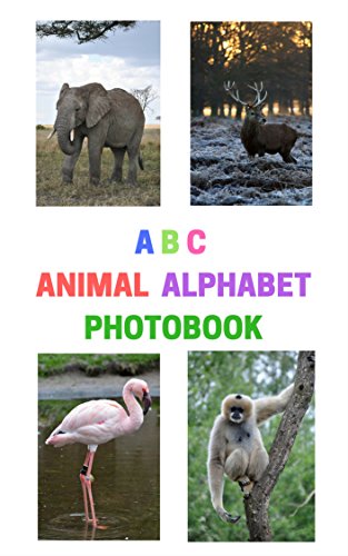 ABC ANIMAL ALPHABET PHOTOBOOK - Kindle edition by HOMEY, PIM. Children ...
