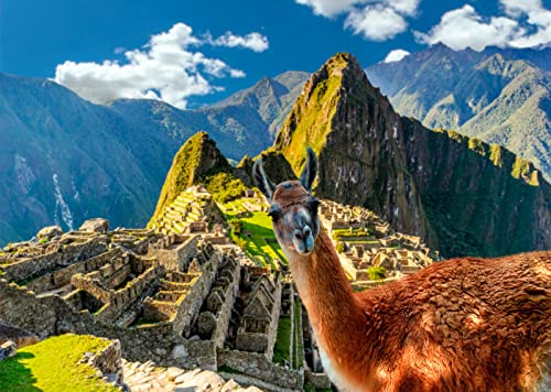 Snapklik.com : 7x5ft Fabric Machu Picchu Backdrop For Photography ...