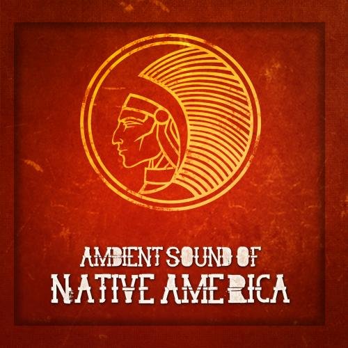 Amazon.com: Ambient Sound of Native America: CDs & Vinyl