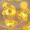 Amazon.com: Impress Life Honey Bee Fairy String Lights, 10 Foot 40 LED ...