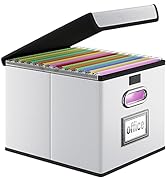 Amazon.com : Huolewa Collapsible Hanging File Box Organizer for Letter ...