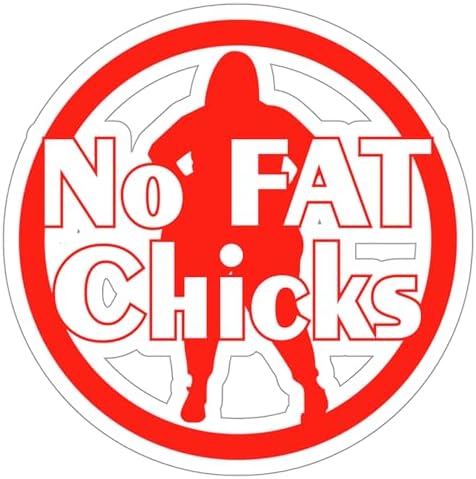 Amazon.com - [QTY 2] WARNING NO FAT CHICKS - OEM SPOOF VINYL STICKERS ...