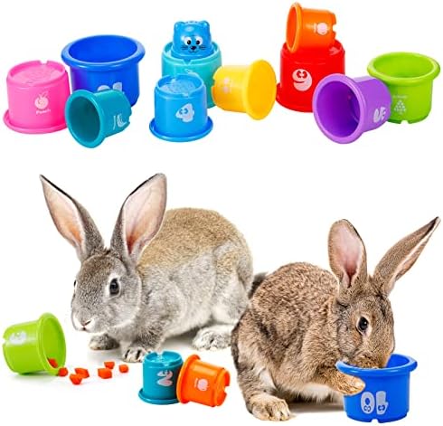 Amazon.com : MEWTOGO 8 Pcs Stacking Cups for Rabbits - Multi-Colored ...