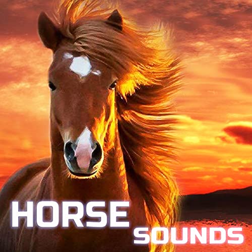 Play Horse Sounds (feat. Universal Nature Soundscapes, Universal Soundscapes, Universal White ...