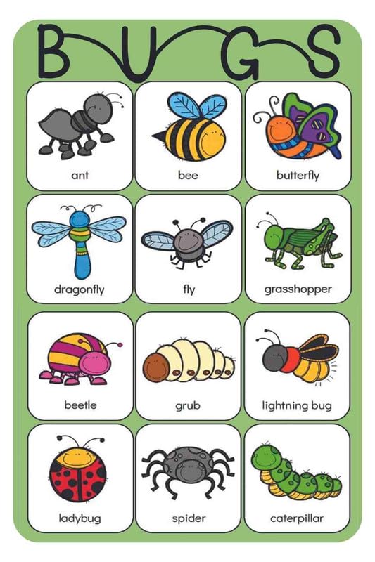 Relesh Infomedia "Insects Poster|Kids Education Poster|Early Learning ...