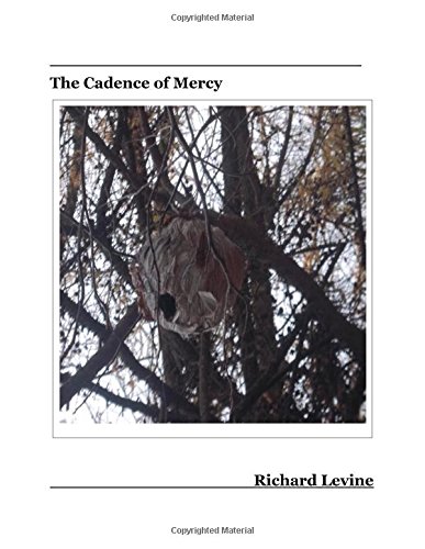 The Cadence of Mercy: Richard Levine: 9781622297382: Amazon.com: Books
