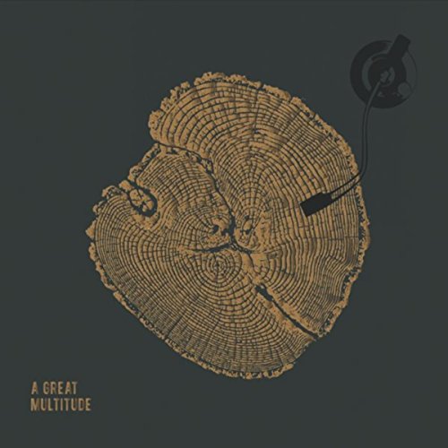 Amazon.com: A Great Multitude : A Great Multitude: Digital Music