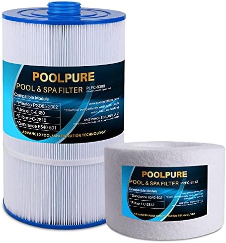 Amazon.com : POOLPURE Replacement Pool Filter for Sundance 850 780 ...